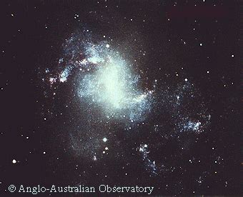 Irregular Galaxy Examples Aegis Survey Reveals New Principle Governing