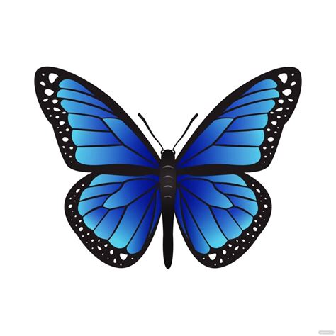 Free Butterfly Vector Clipart Png Svg To Edit Online Butterflies