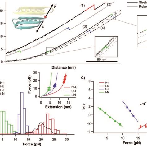 folding unfolding signatures of top7 a representative force distance