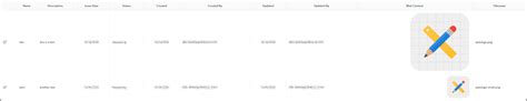 Resize Image In Apex Interactive Report Learning Apex