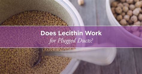 Lecithin And Breast Feeding Does It Work For Plugged Ducts