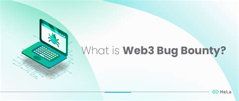 What Is Web3 Bug Bounty? Everything You Need to Know - HeLa