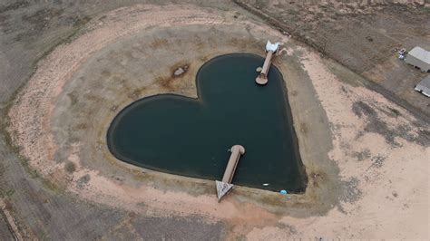 Texas Pond Captures Hearts On Social Media Before Valentines Day