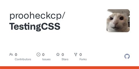 GitHub Prooheckcp TestingCSS