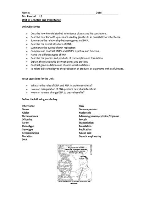 Unit 6 Genetics And Inheritance Pdf Genetic Code Gene