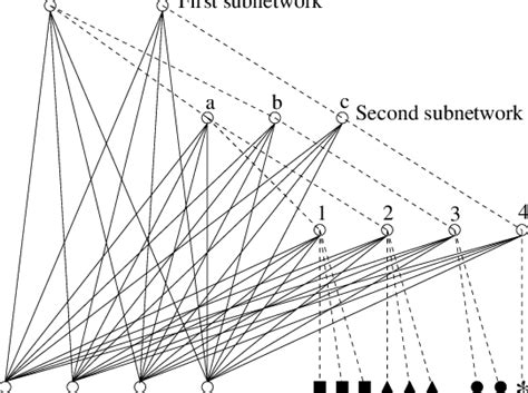 structure of the self organizing neural networks download scientific