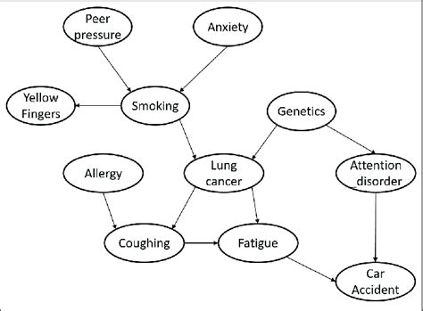 10 Structure Du Réseau Bayésien Causal Du Jeu De Données étudié Download Scientific Diagram