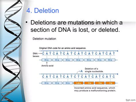 Gene Mutation And Its Types Ppt
