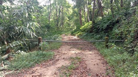 പുനർജന്മം കാത്ത് ആലുവ മൂന്നാർ രാജപാത Aluva Munnar Old Route Awaiting Life