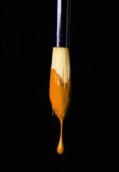 Pin by Julianna on P. I. C. A. S. S. O. | Paint brushes photography ...