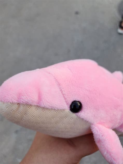 메이플스토리 인벤 알빠노 메이플스토리 인벤 자유게시판 메이플스토리 인벤 알빠노 메이플스토리 인벤 자유게시판