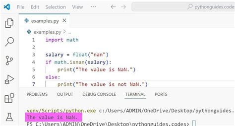 How To Check If A String Is Empty Or Nan In Python