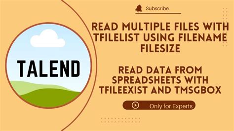 Day17 Read Multiple Files Using Tfilelist With Filename And Filesize
