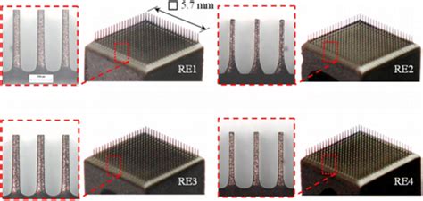 The 1600 Micro Pin Array With An Average Diameter Of 30μm And A Length