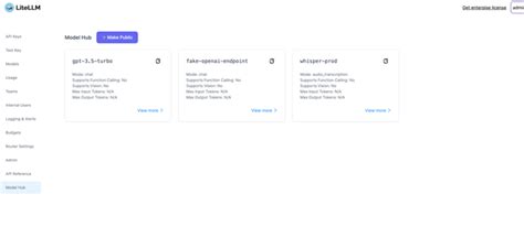Enterprise Features LiteLLM