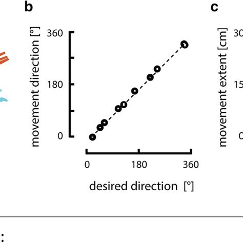 Experimental Protocol A The 5 Paths Created For The Target Movement