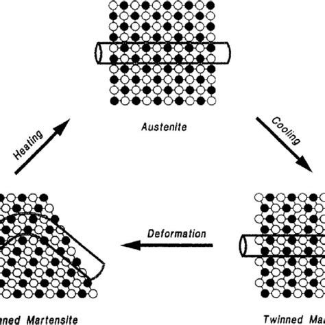 Diagrammatic Representation Of The Shape Memory Effect Of Niti Alloy