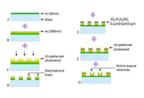 General Fabrication Process Of Mea Download Scientific Diagram