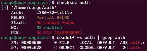 A Full Guide To Format String Exploitation 🐕🪦