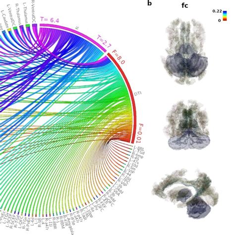 Group Statistics And Relationship Between Functional And Structural Download Scientific Diagram