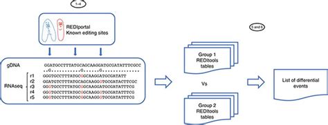 investigating rna editing in deep transcriptome datasets with reditools