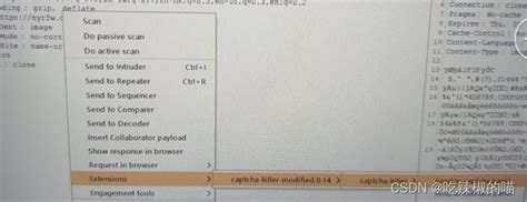 Burp实现rsa加密 图片验证码识别 Burp验证码识别插件 Csdn博客