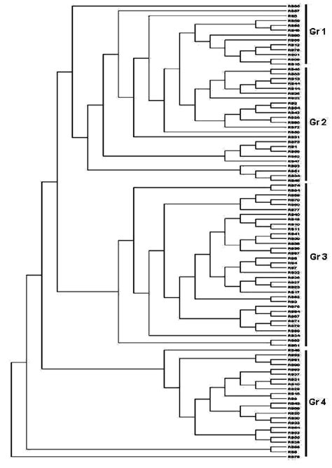 Upgma Dendrogram Of The 94 Isolates Of R Bataticola Isolates Based On
