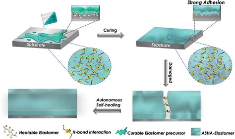 成果及论文 曹鹏飞教授课题组