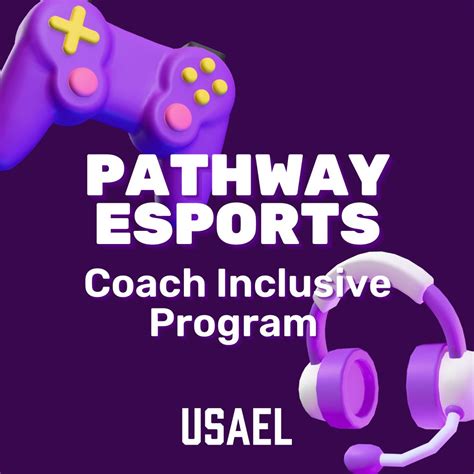 Stemfinity Usael Pathway Esports Program Coach Mastery Coding