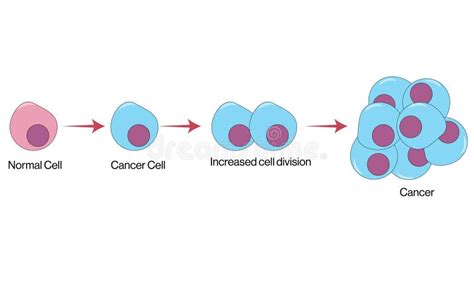 Cancer Cell Diagram