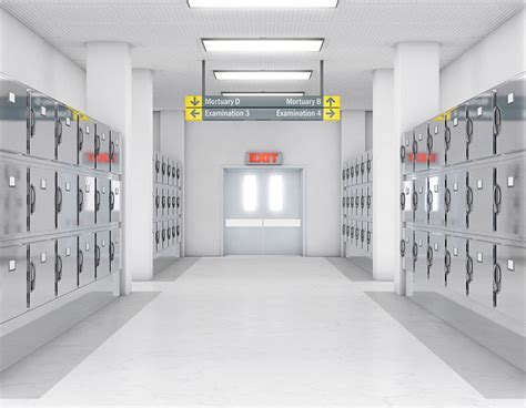 Life Sciences Kelsius