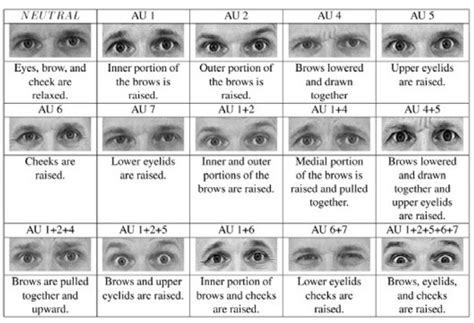 1 Upper Face Action Units And Some Combinations Download Scientific Diagram