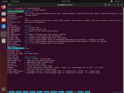 How To Install Sysdig On Ubuntu LinuxCapable
