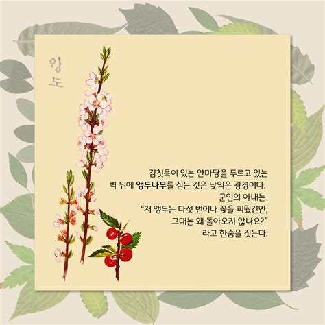 슬기로운 한글생활 플로렌스 크레인의 속 4월의 꽃을 소개합니다