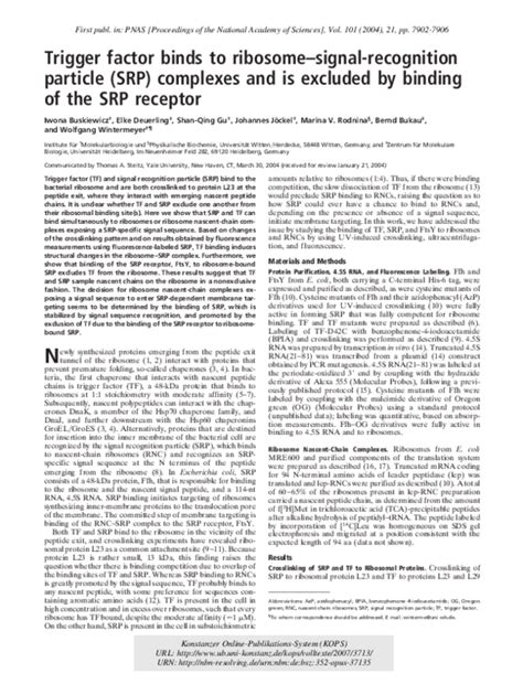 Pdf Trigger Factor And Srp Binding Dynamics On Ribosomes