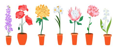 화분 세트에 다채로운 사실적인 플랫 꽃 파란색과 보라색 색상 일러스트레이션과 자연 교육에 적합합니다 꽃 식물에 대한 스톡 벡터 아트 및 기타 이미지 Istock
