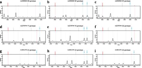 Typical Raw Data Obtained Using The Sequenom Massarray System For Download Scientific Diagram