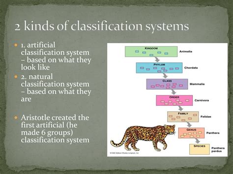 Ppt Biology B Powerpoint Presentation Free Download Id 661519