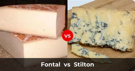 Fontal Cheese Vs Stilton Cheese Whats The Difference Taste