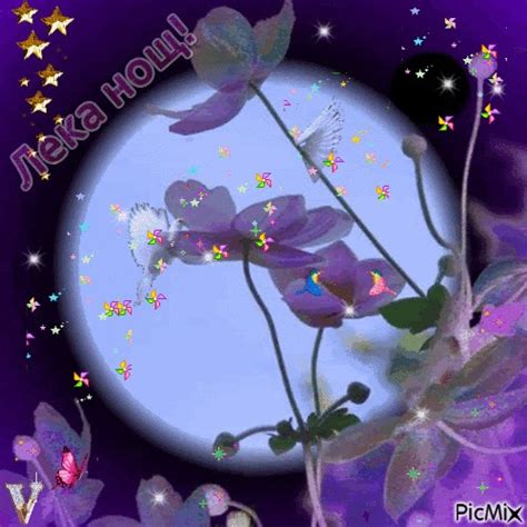 Здравей живот добре дошъл Home Facebook