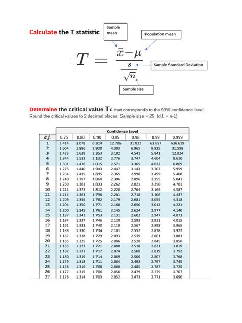 Calculate The T Statistic Pdf