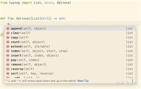 Python3 类型注解 知乎