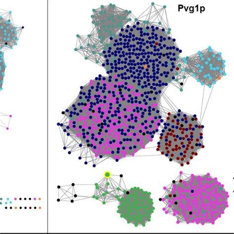 Sequence Similarity Networks Illustrating The Extant Sequence Space