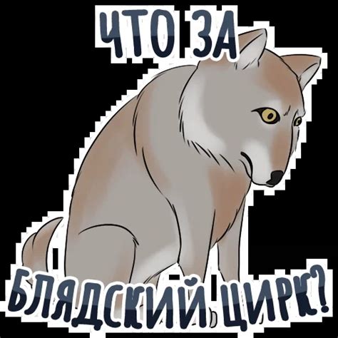 Sexpack — Whatsapp Stickers Pack