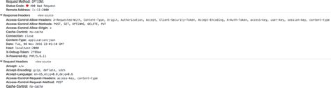 Javascript Request From Angular Sent As Options Instead Of Post