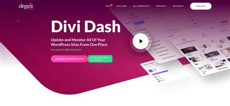 Step By Step Guide For Setting Up Divi Dash