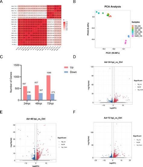 通过加权基因共表达网络分析鉴定人腺病毒 7 型感染期间与干扰素信号相关的功能通路和潜在基因 Archives Of Virology X Mol