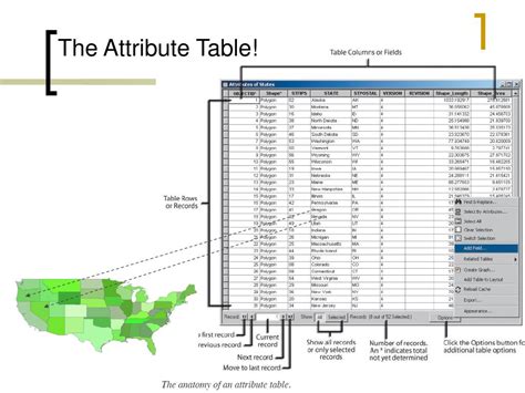 Ppt The Attribute Table Powerpoint Presentation Free Download Id2936222