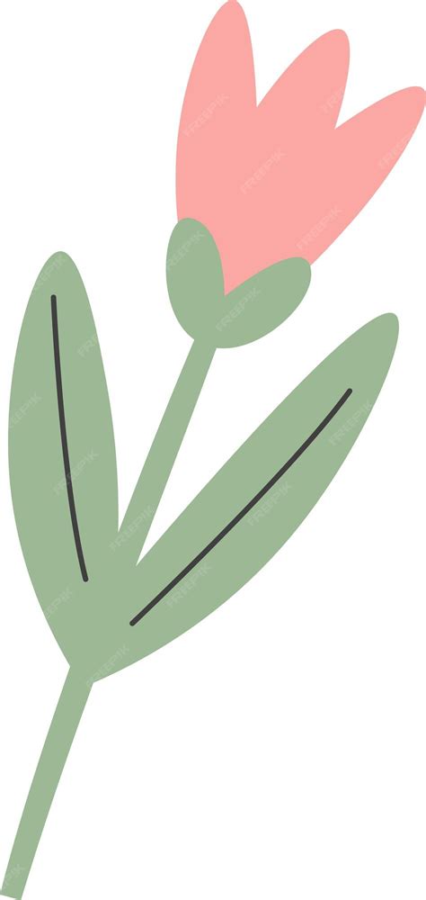 Premium Vector Flower On Stem