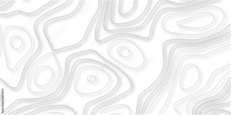 How Topographic And Topological Insights Contribute To The Precision And Complexity Of Vector